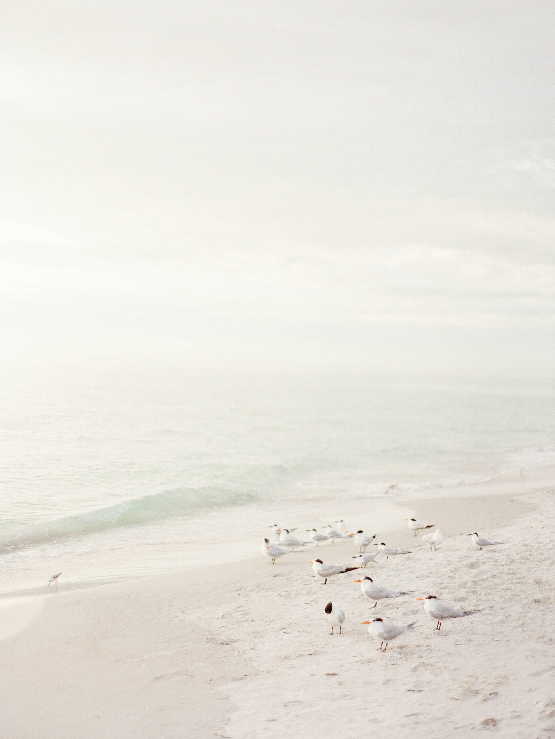 My Morning Routine: 5 Morning Must-Dos